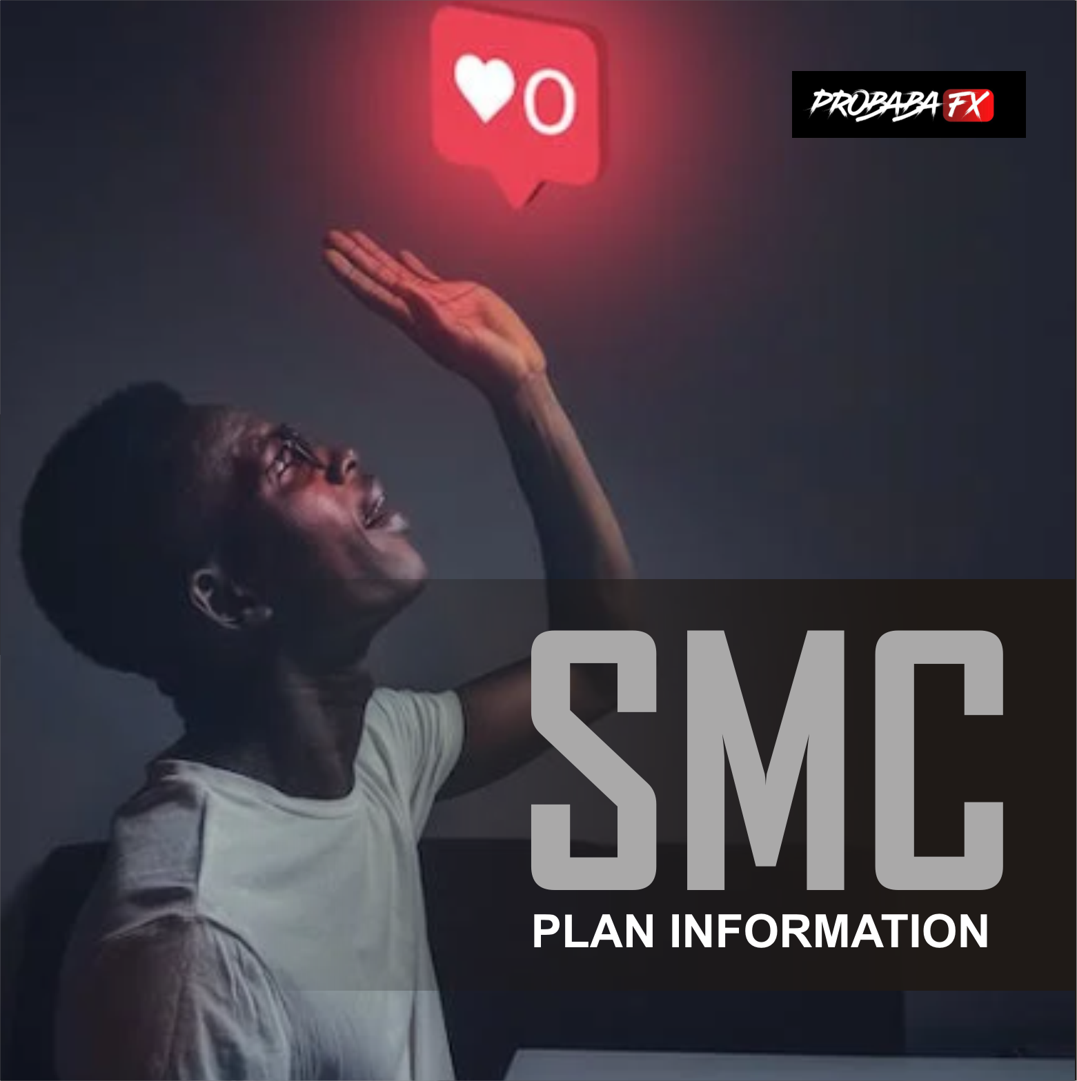 Services - Probaba EA Consults